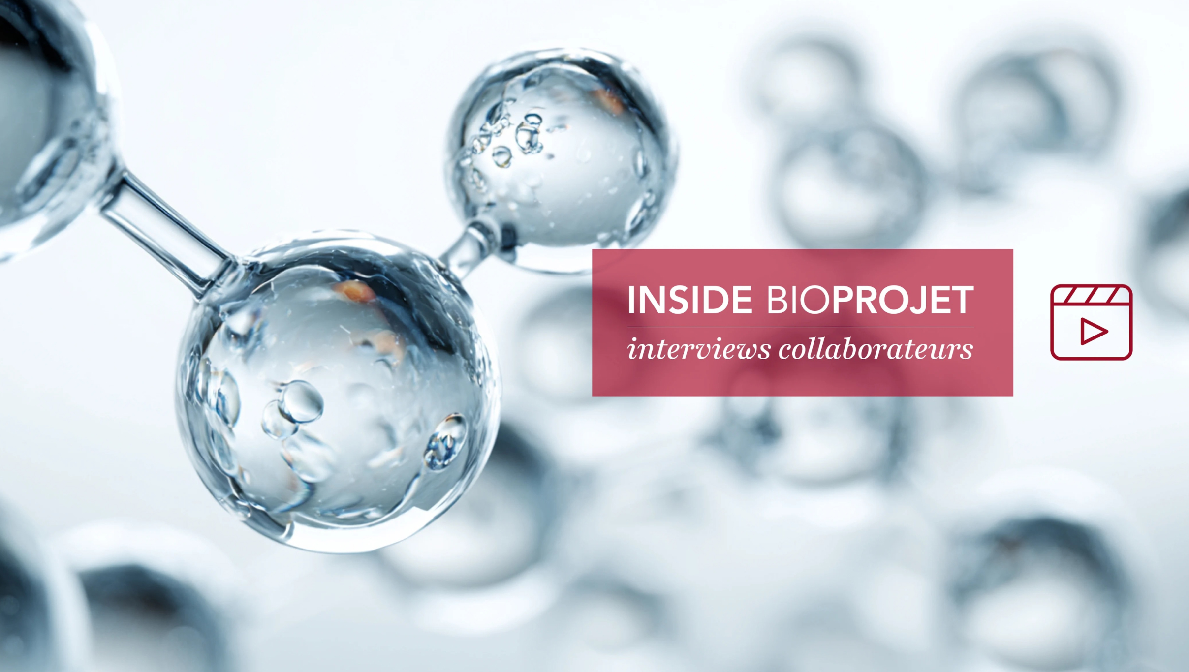 Inside Bioprojet: PMO | Bioprojet | Paris